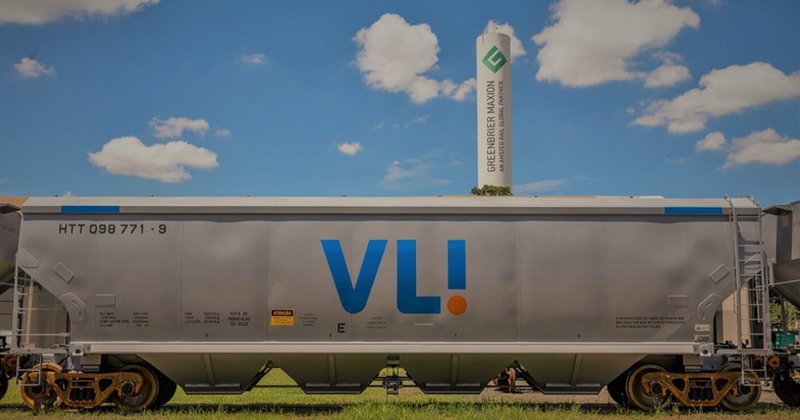 VLI alcança 1 milhão de toneladas de celulose movimentadas no porto de ...